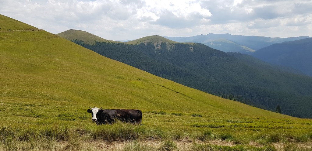 Strategica – TET Romania – Motorcycle Touring Romania – Guide